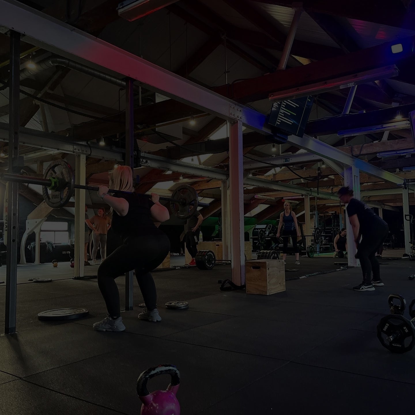 Primal Training – Primal training uk